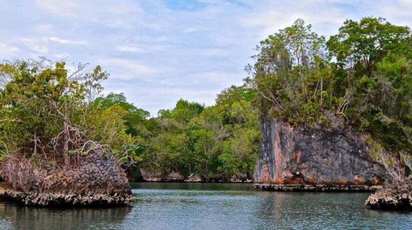 Los Haitises Boat Ride + Caño Hondo Natural Pools - Exploring the Los Haitises Boat Ride + Caño Hondo Natural Pools Tour