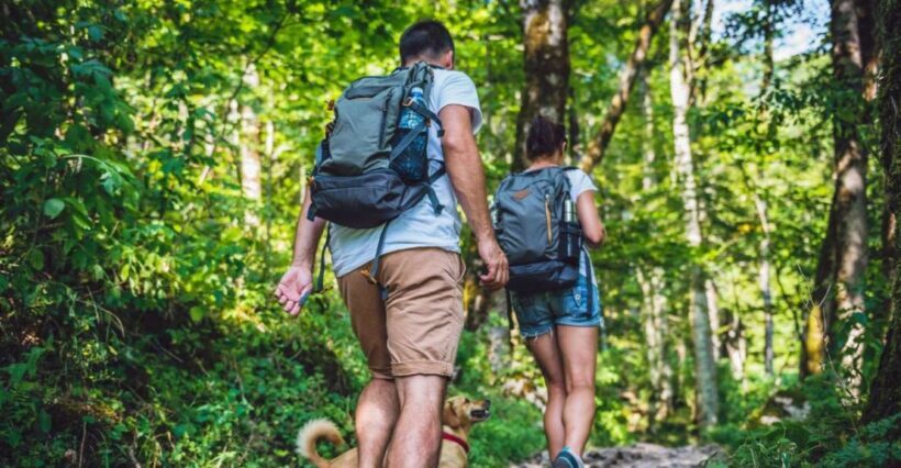 Los Haitises: Caves, Mangroves, & Rainforest Hike/Boat Tour - The Sum Up