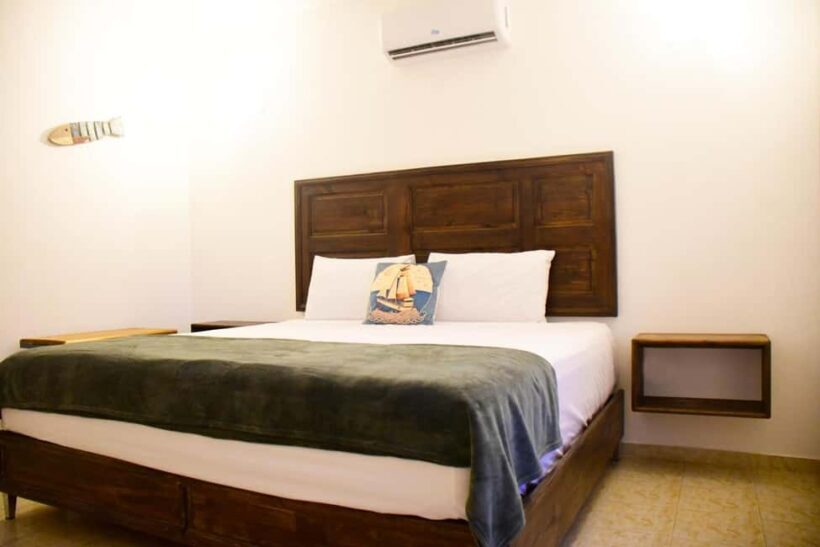 Los Haitises: Cayo Levantado, Haitises & Deluxe Rooms - Who Will Love This Tour?