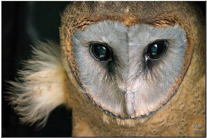 Los Haitises & Cayo Levantado (Lunch included, from Samana in Catamaran or Boat) - Exploring the Itinerary in Detail