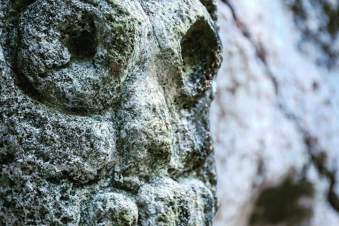 Los Haitises & Cayo Levantado (Lunch included, from Samana in Catamaran or Boat) - The Sum Up