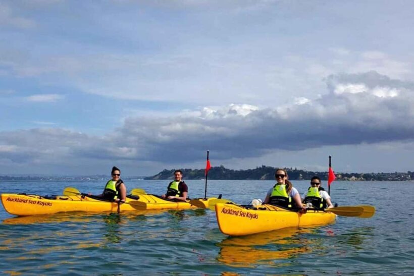 Los Haitises: Guided Kayak Tour with Local Guide - Exploring Los Haitises by Kayak: What You Can Expect