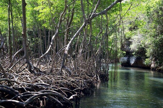 Los Haitises N. Park, Yanigua Waterfall & Montaña Redonda Tour - Who Is This Tour Best For?