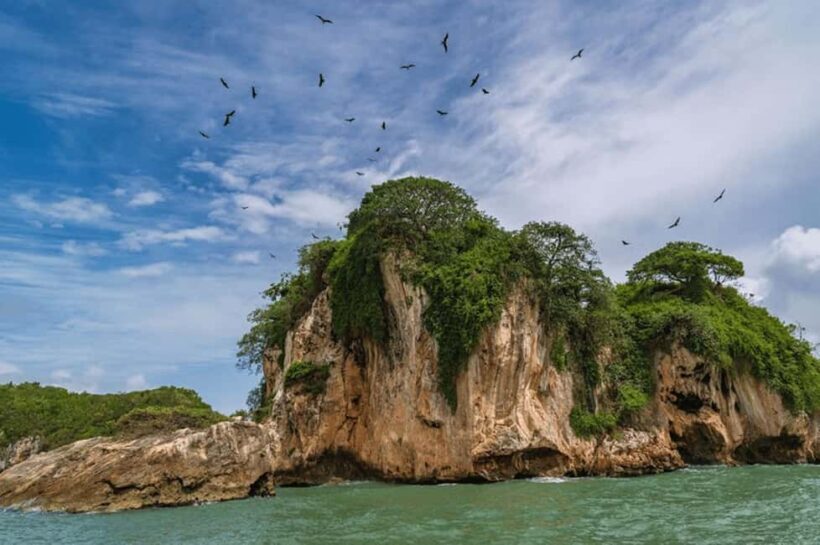 Los Haitises National Park: Boat Tour and Cave Visit - Key Points