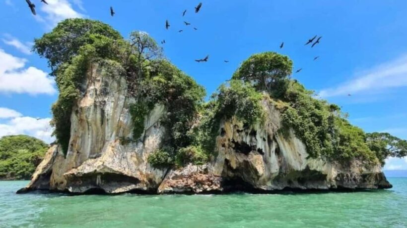 Los Haitises National Park: Boat Tour - Key Points