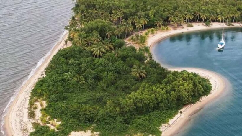 Los Haitises National Park: Boat Tour - Introduction to the Los Haitises Boat Tour