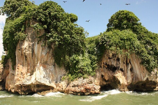 Los Haitises National Park, Montaña Redonda & Bacardi Island - Who Should Book This Tour?