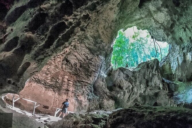 Los Haitises National Park & Montaña Redonda Day Tour - Key Points