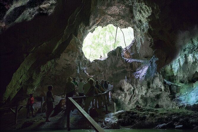 Los Haitises National Park & Montaña Redonda Day Tour - Who Should Consider This Tour?