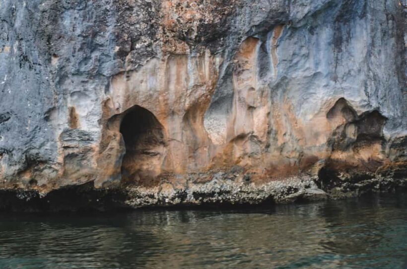 Los Haitises National Park & Montaña Redonda from Bayahibe - An In-Depth Look at the Tour Experience