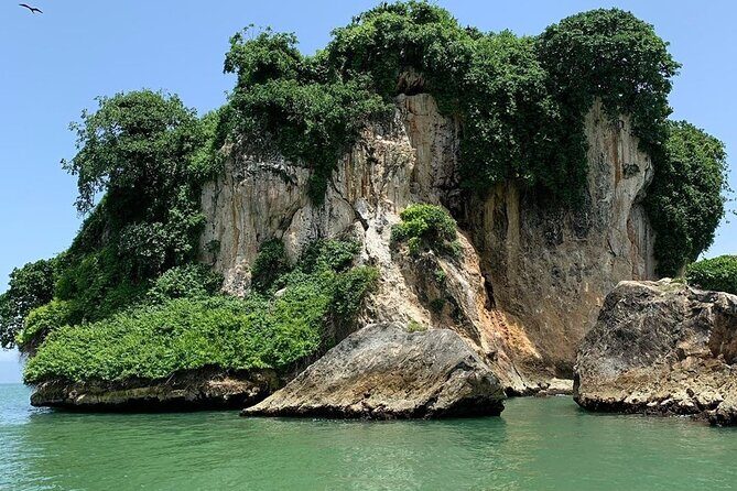 Los Haitises National Park Private boat  Hiking 4 Hours Moist Forest Trail. - Who Should Book This Tour?