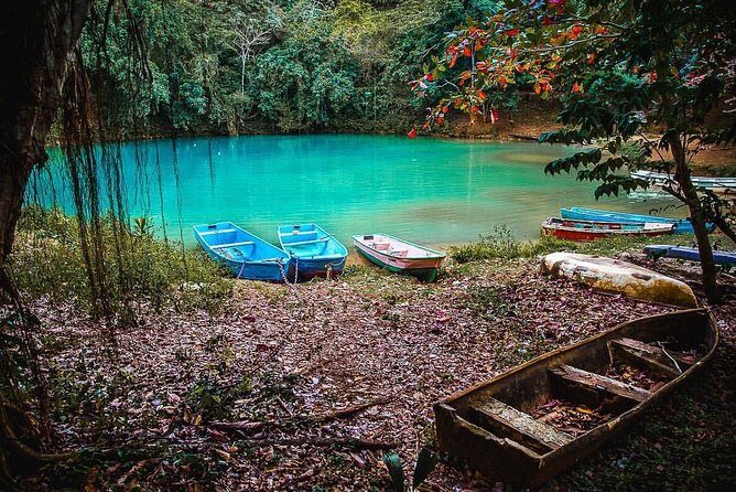 Los Haitises National Park private boat trip Caves and Mangrooves - Why This Tour is a Good Deal