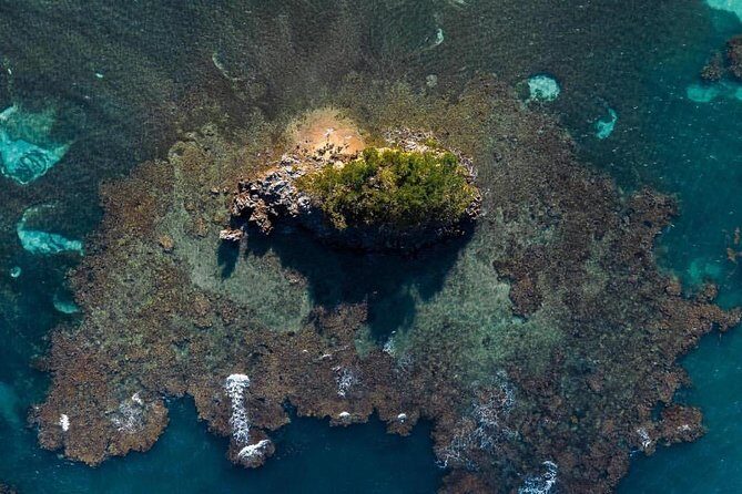 Los Haitises National Park private Kayaking 4 hours trip Mangroves and Cave - Key Points