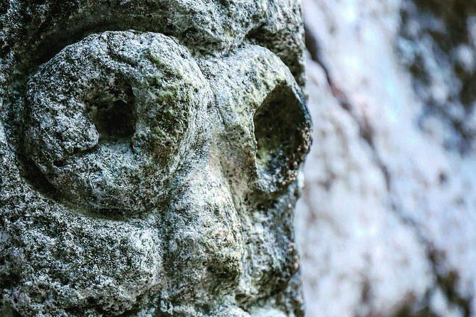 Los Haitises National Park Tour from Punta Cana, Montana Redonda & Cano Hondo - A Full Breakdown of the Tour Experience