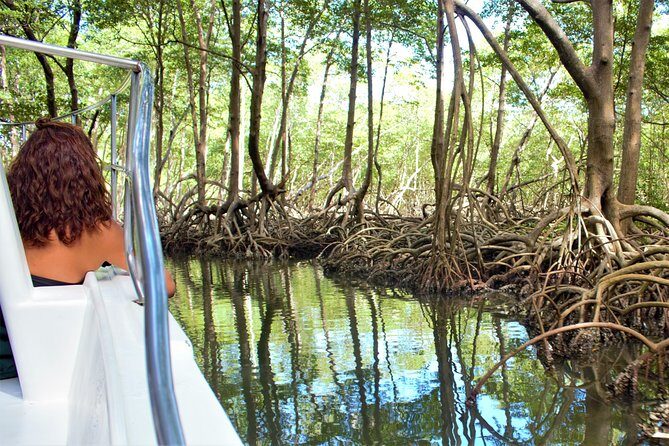 Los Haitises National Park Tour from Punta Cana, Montana Redonda & Cano Hondo - FAQ