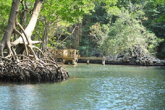 Los Haitises National Park Tour with Lunch from Punta Cana - A Deep Dive into the Los Haitises Experience