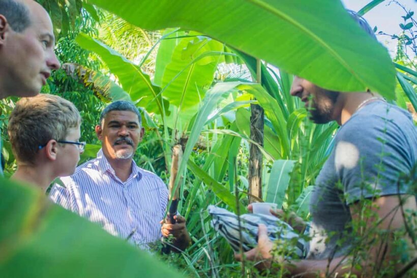 Los Haitises Park, Yanigua Waterfall, & Montaña Redonda Tour - Key Points