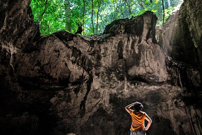 Los Haitises Private Boat Tour - An In-Depth Look at the Los Haitises Private Boat Tour