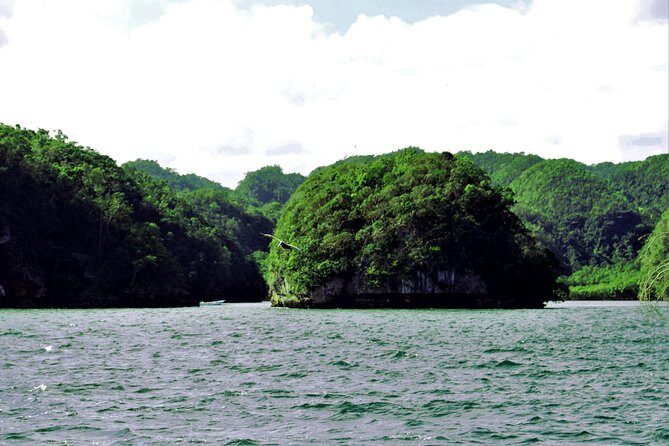 Los Haitises Private Boat Tour - Final Thoughts