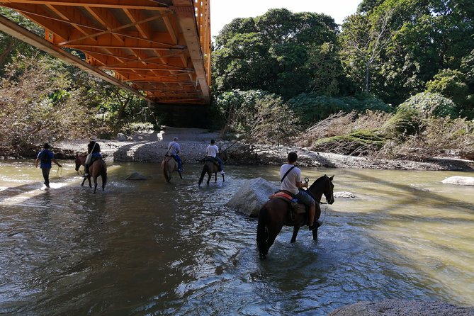Los Naranjos Beach Horseback Riding Tayrona Park. - Pickup Information