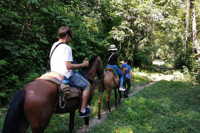 Los Naranjos Beach Horseback Riding Tayrona Park. - Customer Feedback
