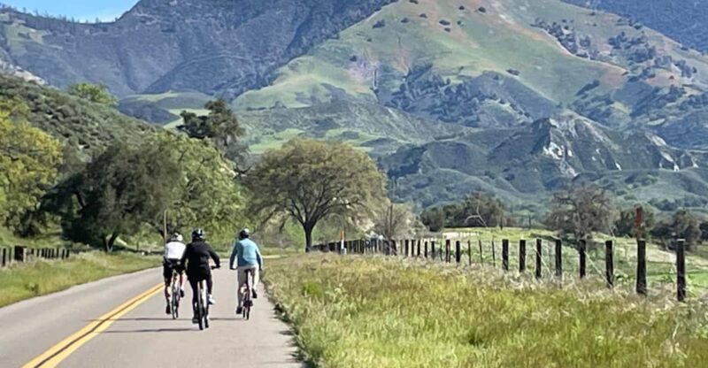 Los Olivos: E-Bike Tour + Vineyard Lunch w/Wine Tasting - Los Olivos: E-Bike Tour + Vineyard Lunch w/Wine Tasting