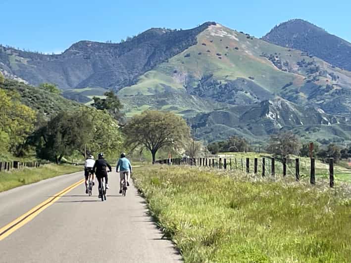 Los Olivos: E-Bike Tour + Vineyard Lunch w/Wine Tasting - An In-Depth Look at the Experience