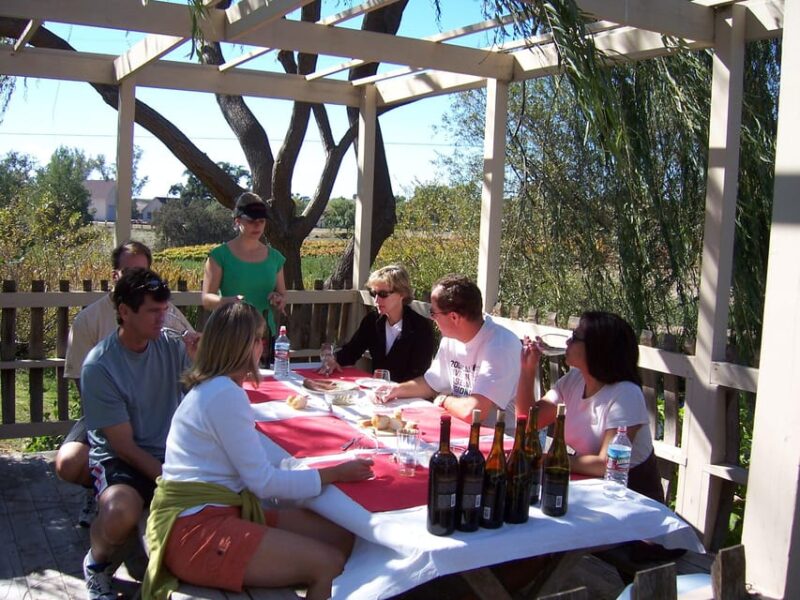 Los Olivos: E-Bike Tour + Vineyard Lunch w/Wine Tasting - The Practical Side: What You Need to Know