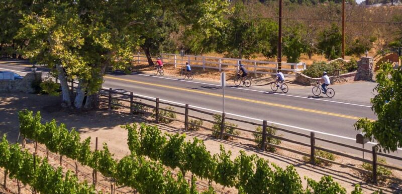 Los Olivos: E-Bike Tour + Vineyard Lunch w/Wine Tasting - Why This Tour Works Well