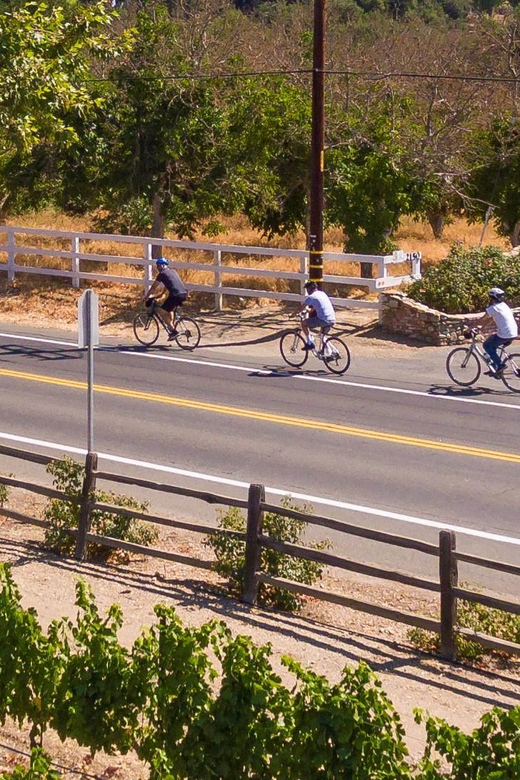 Los Olivos: E-Bike Tour + Vineyard Lunch w/Wine Tasting - Who Should Consider This Tour?