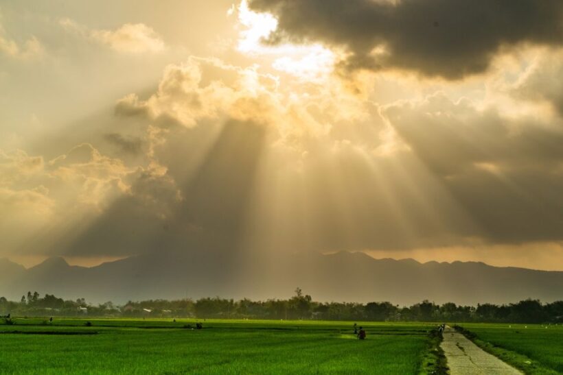 Lost Civilization - My Son Temples Bike Tour in Hoi An - A Closer Look at What Youll Experience
