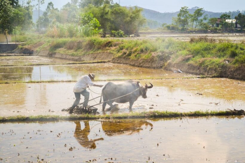 Lost Civilization - My Son Temples Bike Tour in Hoi An - The Value of the Experience