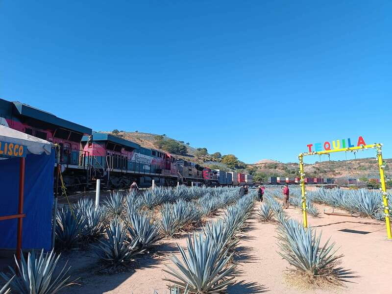 Lots of party: Have fun at "La Aguirreña" factory - Who Will Love This Tour?