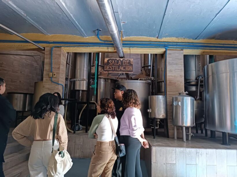 Lots of party: Have fun at "La Aguirreña" factory - The Sum Up
