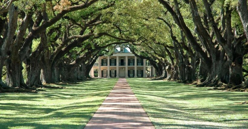 Louisiana: Laura, Oak Alley, or Whitney Plantation Tours - Analyzing the Value