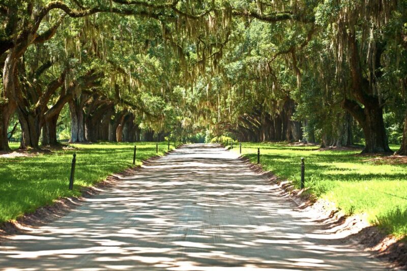 Louisiana: Laura, Oak Alley, or Whitney Plantation Tours - Authentic Insights from Reviews