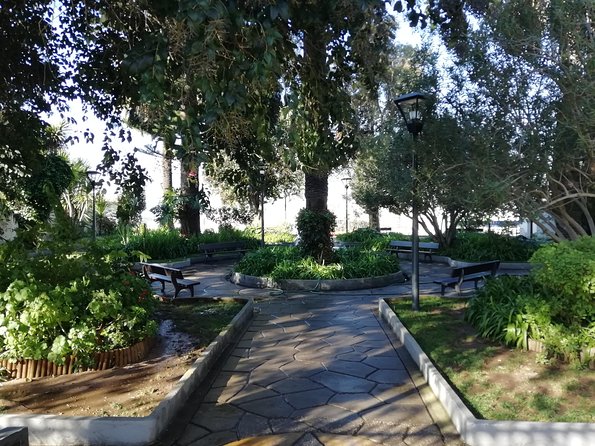 Loule Traditional Market Tour - Pricing and Booking Options