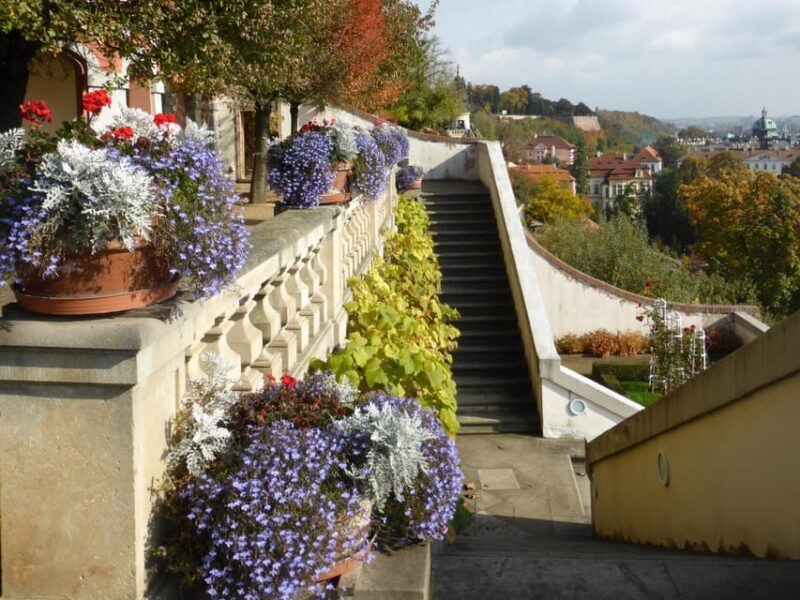 Lourdes: Express Walk with a Local in 60 minutes - Price and Value