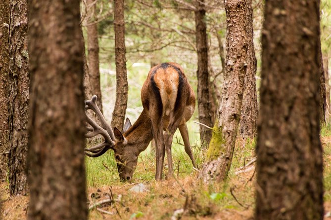 Lousa Mountain Private Tour - Exploring the Serra Da Lousã Mountains