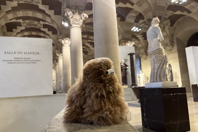 Louvre: All the Stars of Museum - Private Guided 3h Tour & Entry - Accessibility