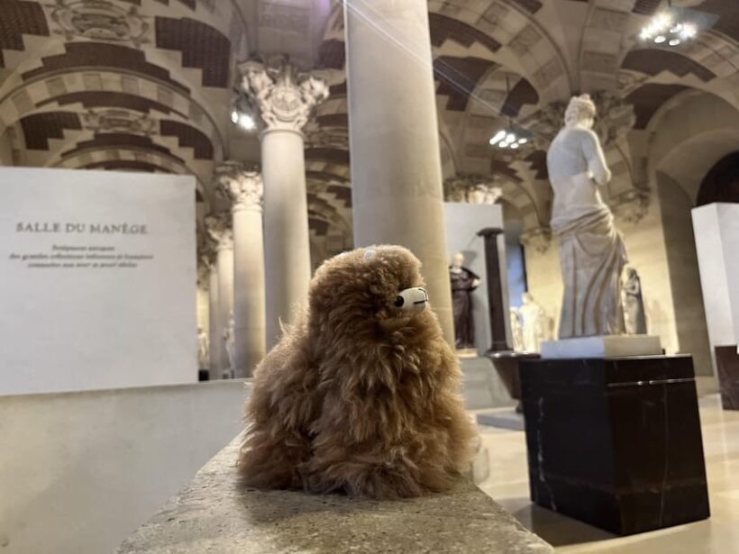 Louvre Museum Entry Ticket and Private Guided Tour - The Overall Experience: Pros and Cons