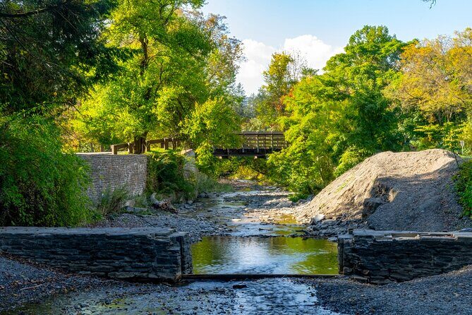Love Struck Strolls: Ithacas Romantic Walk - An In-Depth Look at the Romantic Walk Through Ithaca