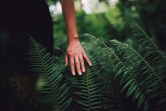 Love the Land Indigenous Walking Tour Capilano River Hatchery - Key Points
