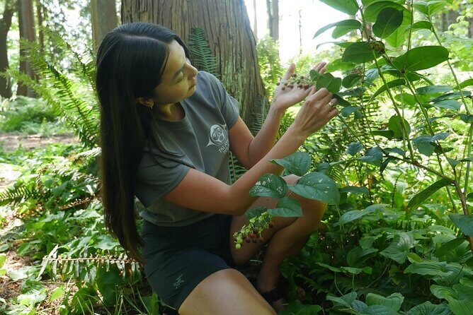 Love the Land Indigenous Walking Tour Capilano River Hatchery - What to Expect from the Tour: A Deep Dive