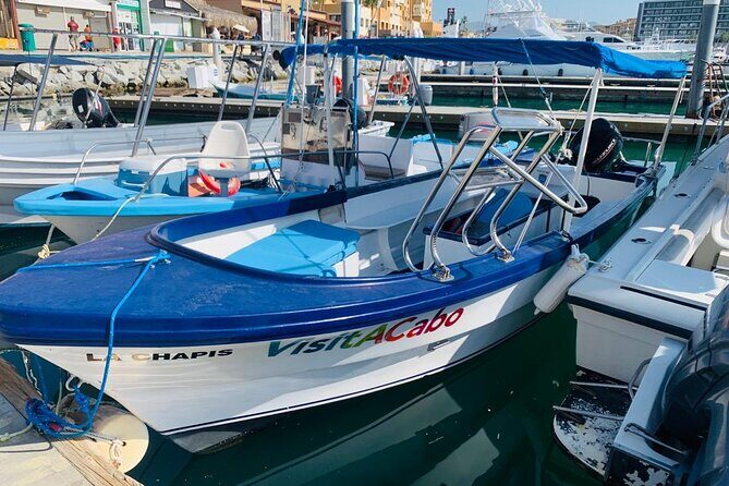 Lovers Beach and El Arco Boat Trip - An In-Depth Look at the Lovers Beach and El Arco Boat Trip