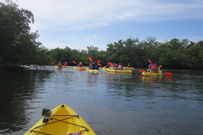 Lovers Key Guided Eco Tour-Mangrove Estuary - Final Thoughts: Why This Tour Works