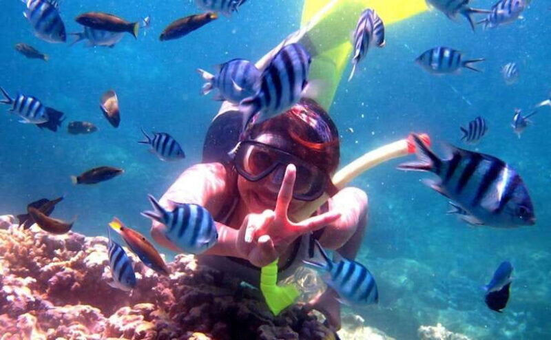 Lovina/Bali: Dolphin Watching Tour, Swimming and Snorkeling - The Atmosphere and Authentic Experience