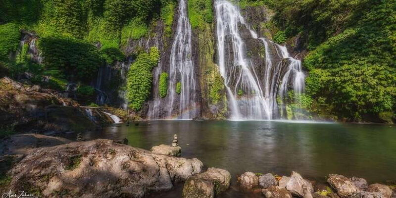 lovina bali: Dolphin watching, waterfall and local lunch - Key Points