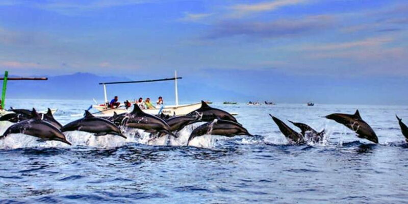 lovina bali: Dolphin watching, waterfall and local lunch - How the Tour Delivers Value