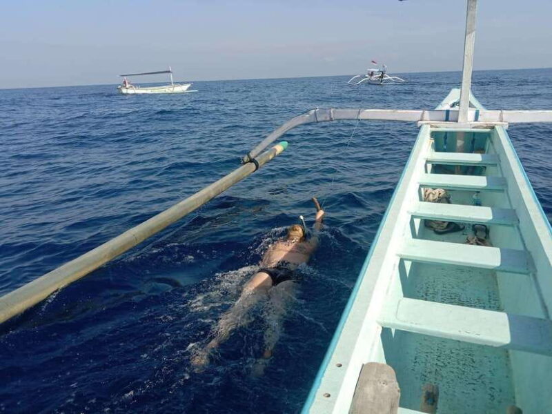 Lovina/BALI : SPECIAL Dolphin Watching,Swimming,Snorkeling - What’s Included and What You Should Bring